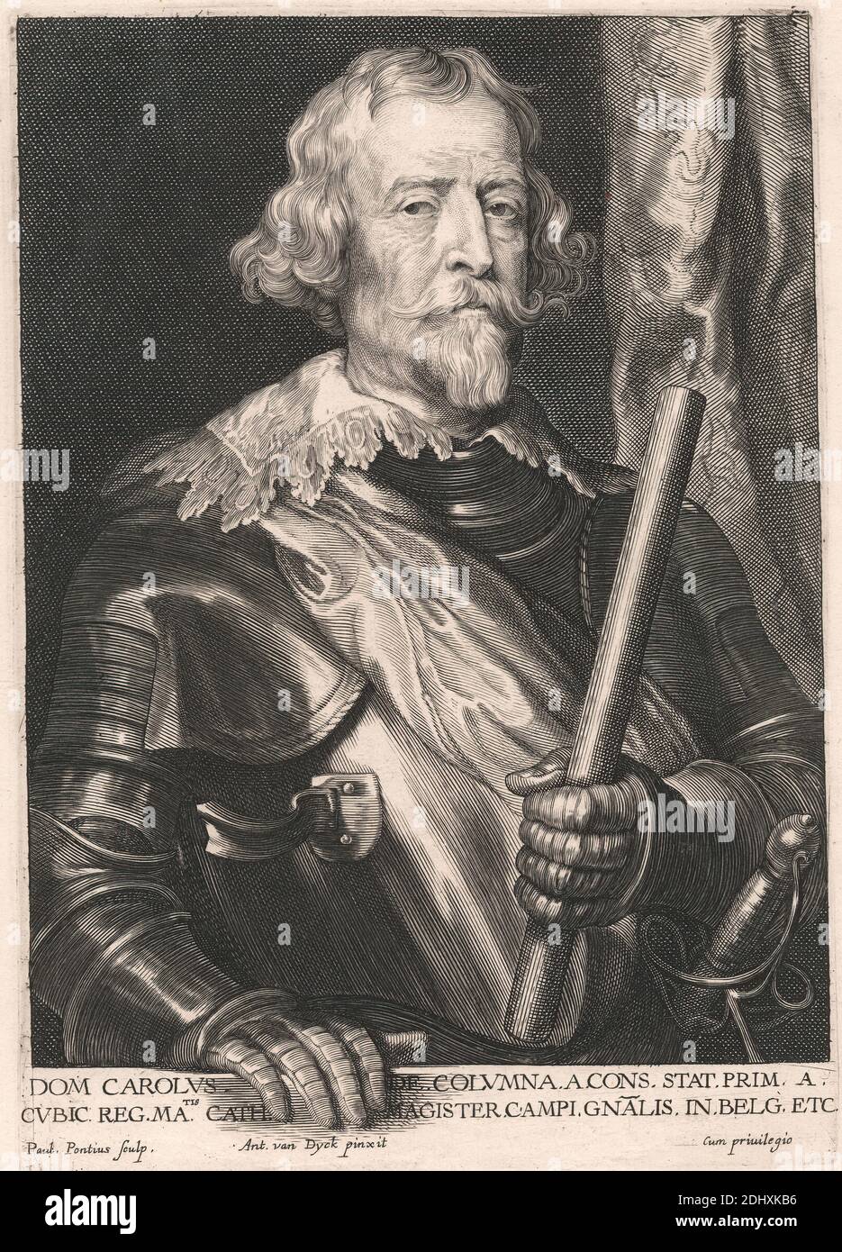 Magister campi hi-res stock photography and images - Alamy
