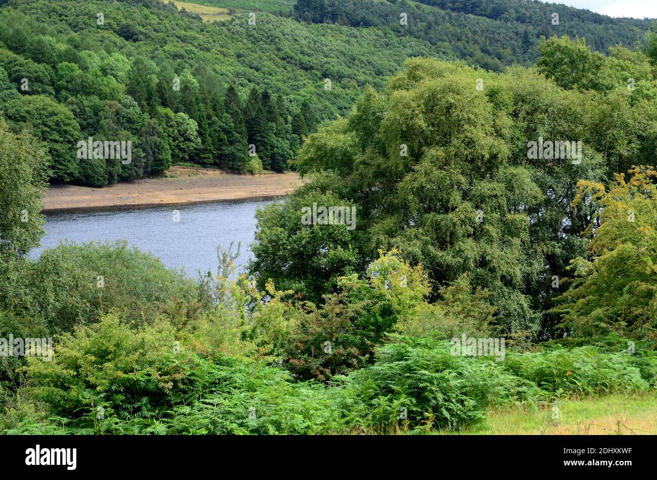 Derwent valley reservoirs and dams hi-res stock photography and images ...