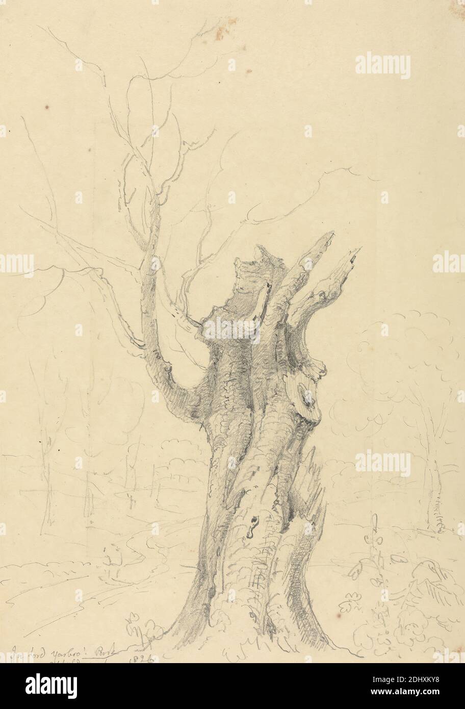 Lord yarboroughs park hi-res stock photography and images - Alamy