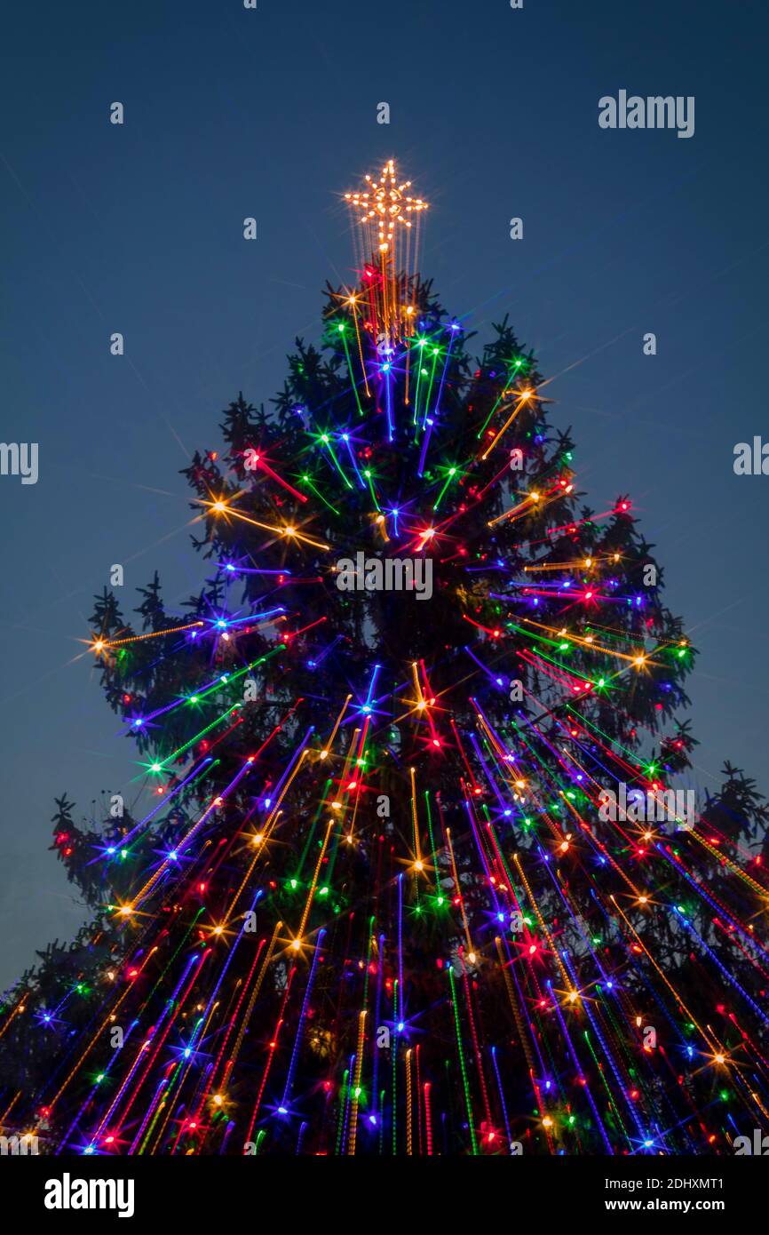 Christmas Tree stands tall at dusk taken with zoom technique for ...