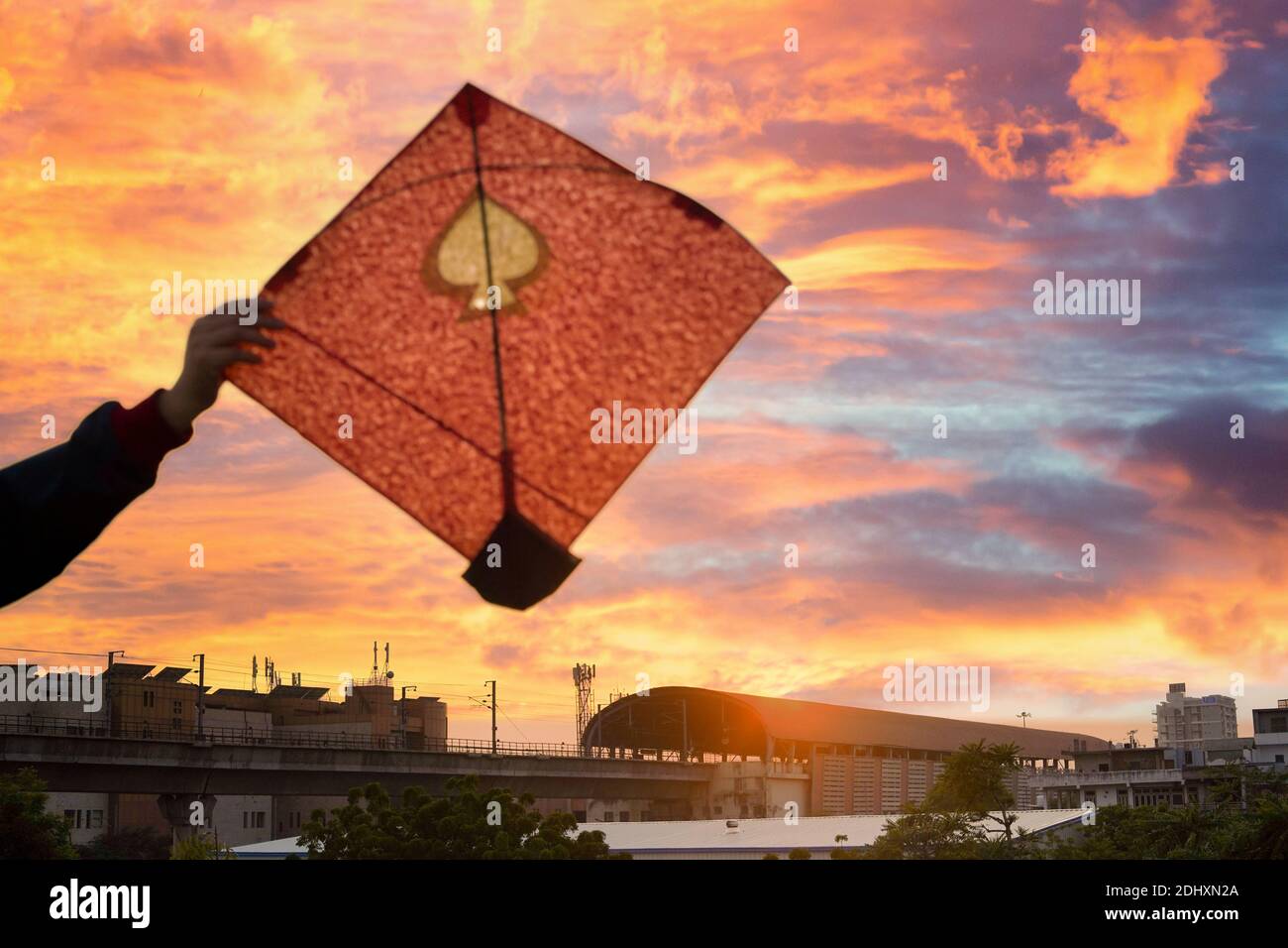 Indian Kite Flying Festival