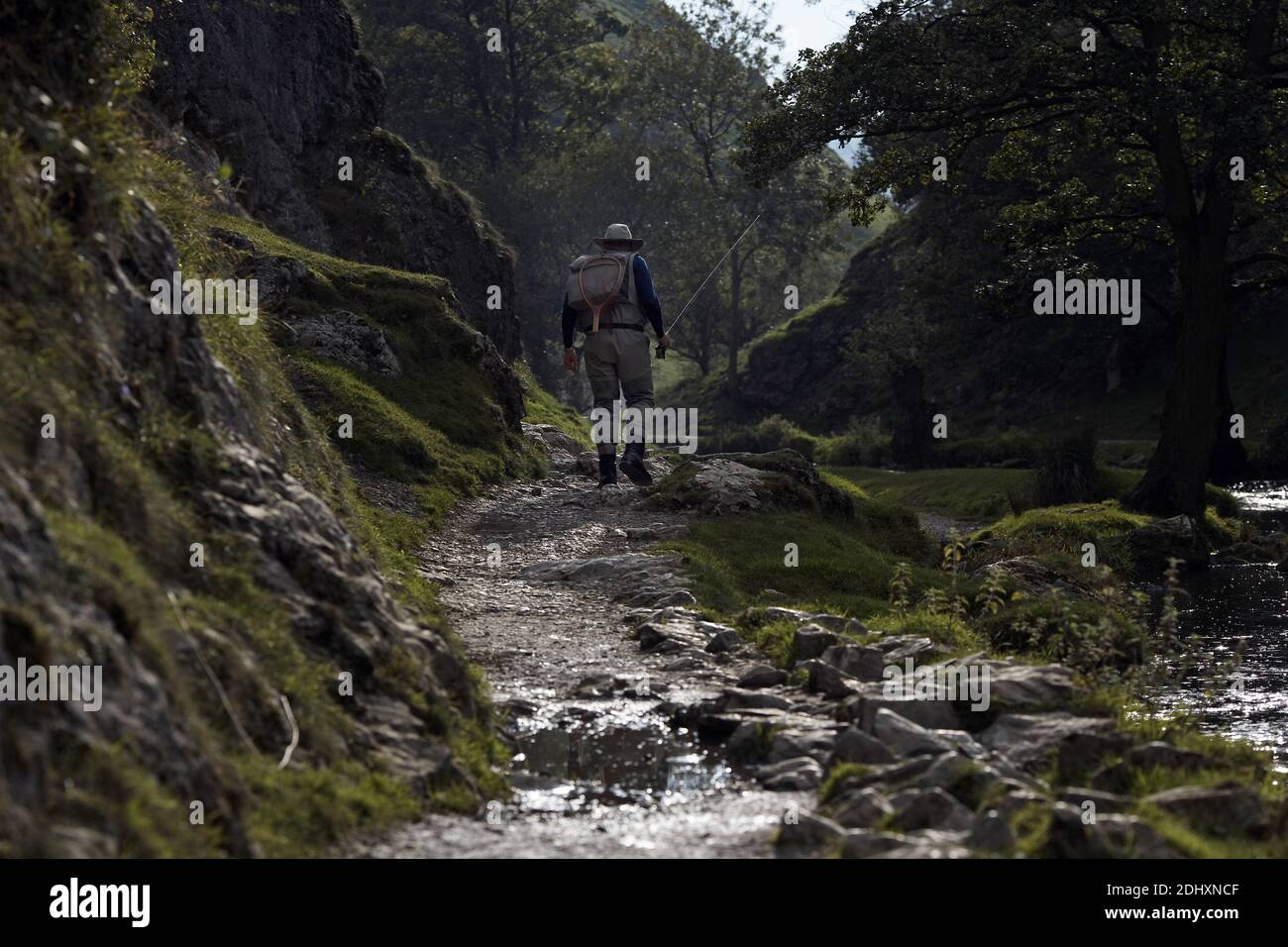 GREAT BRITAIN / England /Dovedale/Peak/Man flyfishing at the river Dove ...