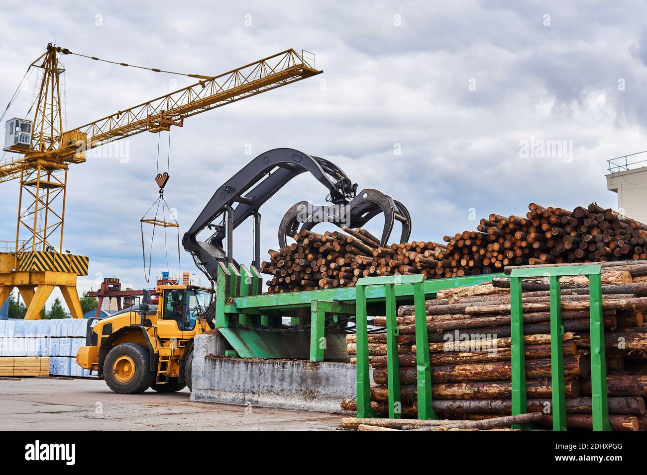wheeled grapple loader unloads logs onto a feed conveyor in the yard of ...
