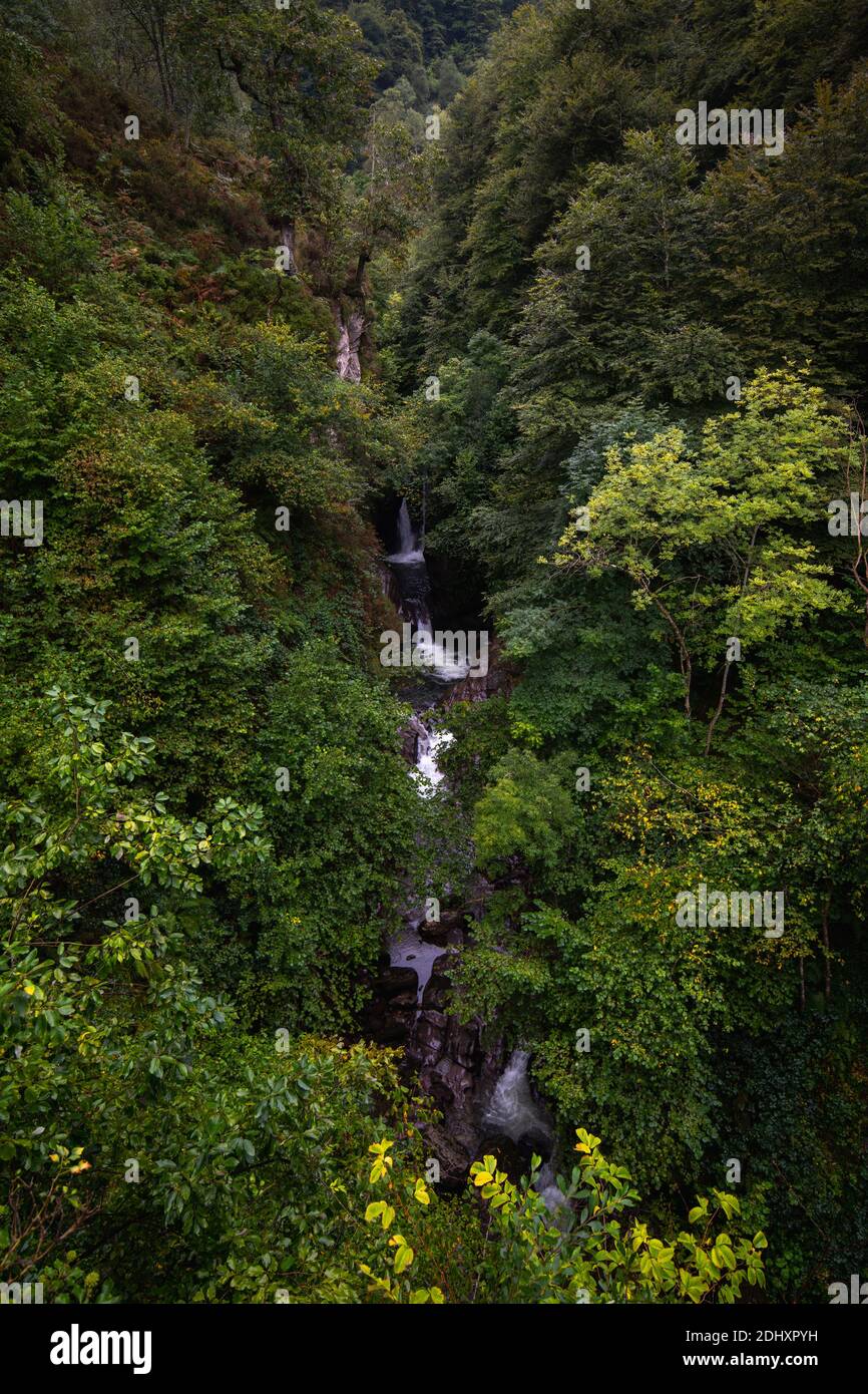 many waterfalls between green trees on a cliff Stock Photo - Alamy