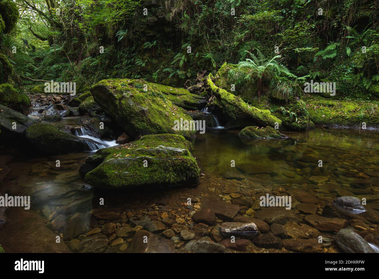 river with transparent water full of green rocks full of moss and walls ...