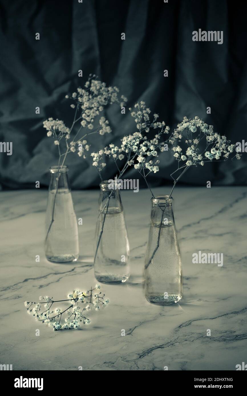 Still life light an shadow Stock Photo - Alamy