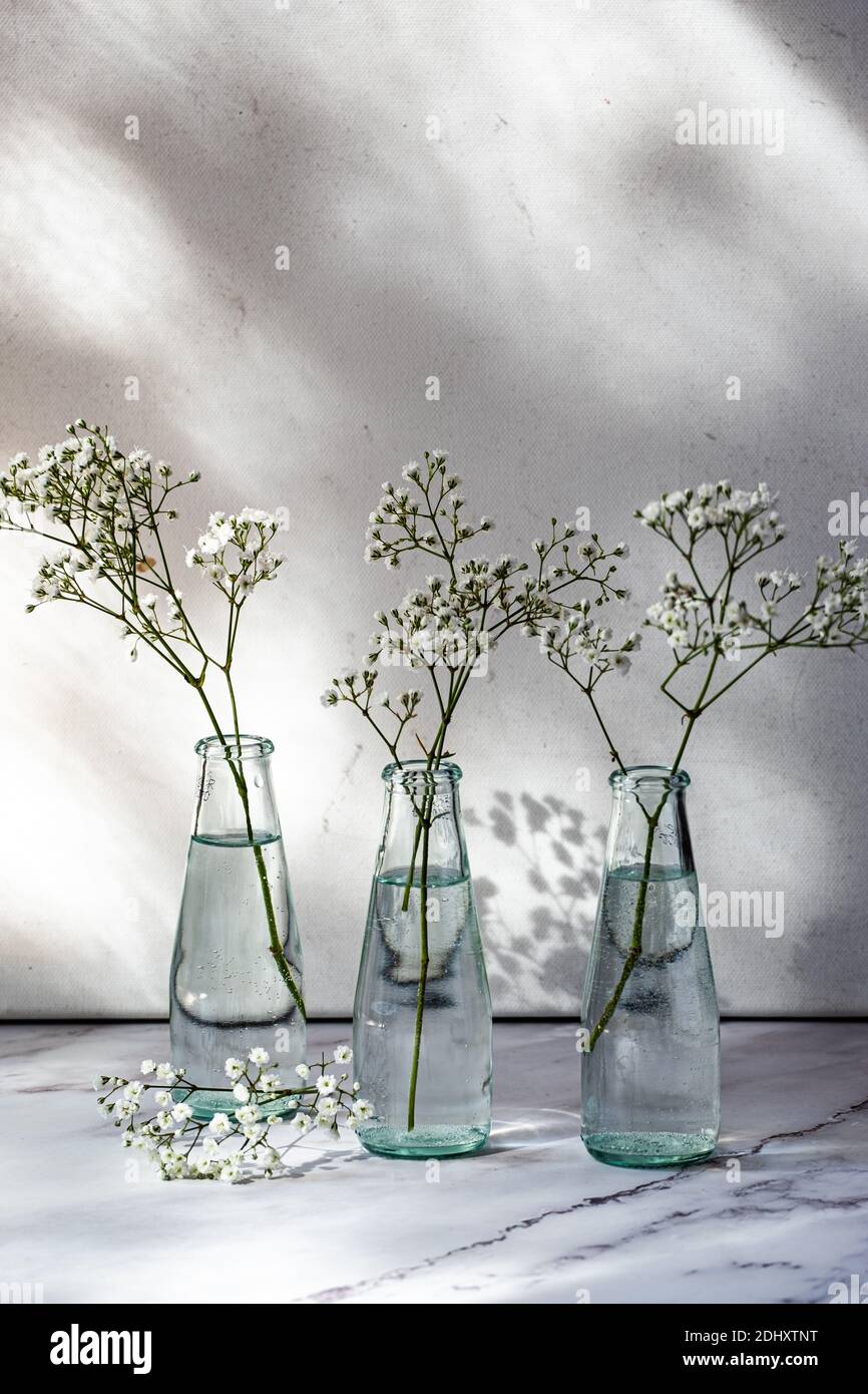 Still life light an shadow Stock Photo - Alamy