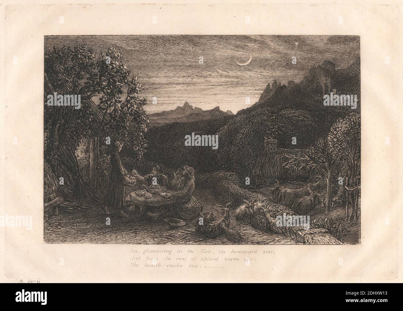 Homeward cows hi-res stock photography and images - Alamy