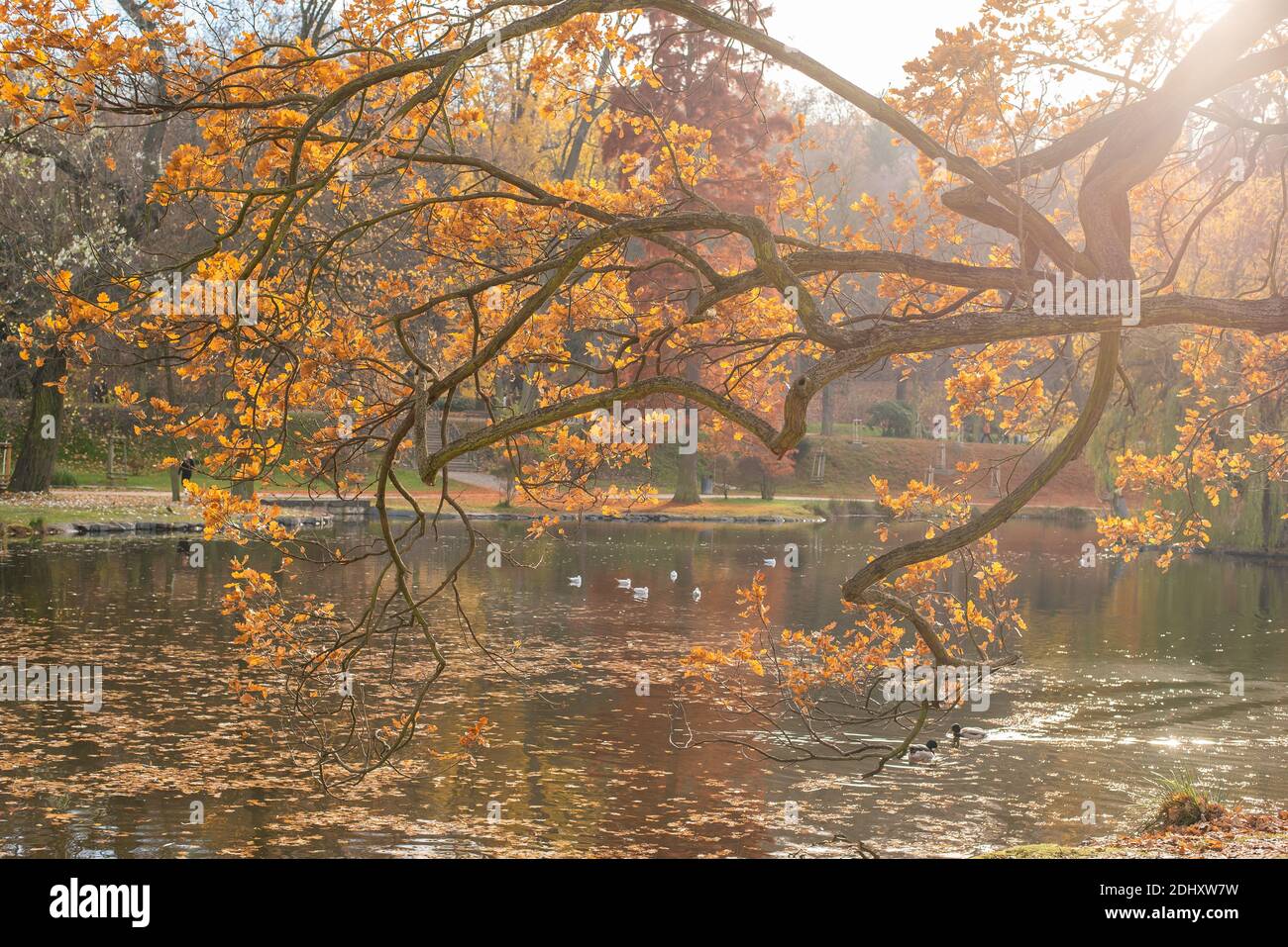 Prague, Czech Republic - 11-11-2020 - Park Stromovka. The largest Park ...