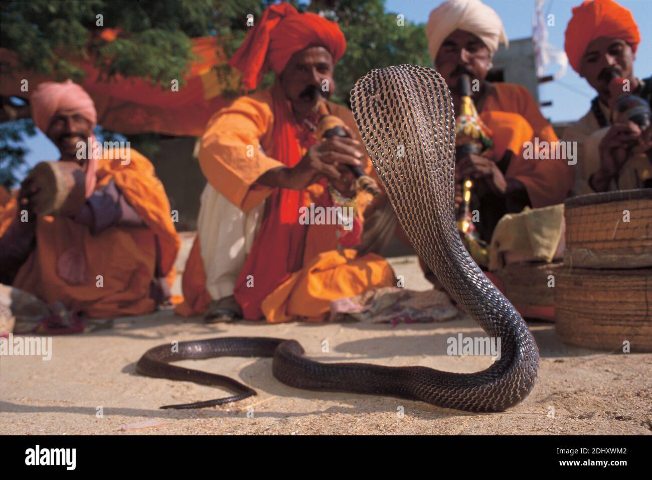 Pakistan / Sindh / Umarkot / Jogi is the Pakistani appellation for ...