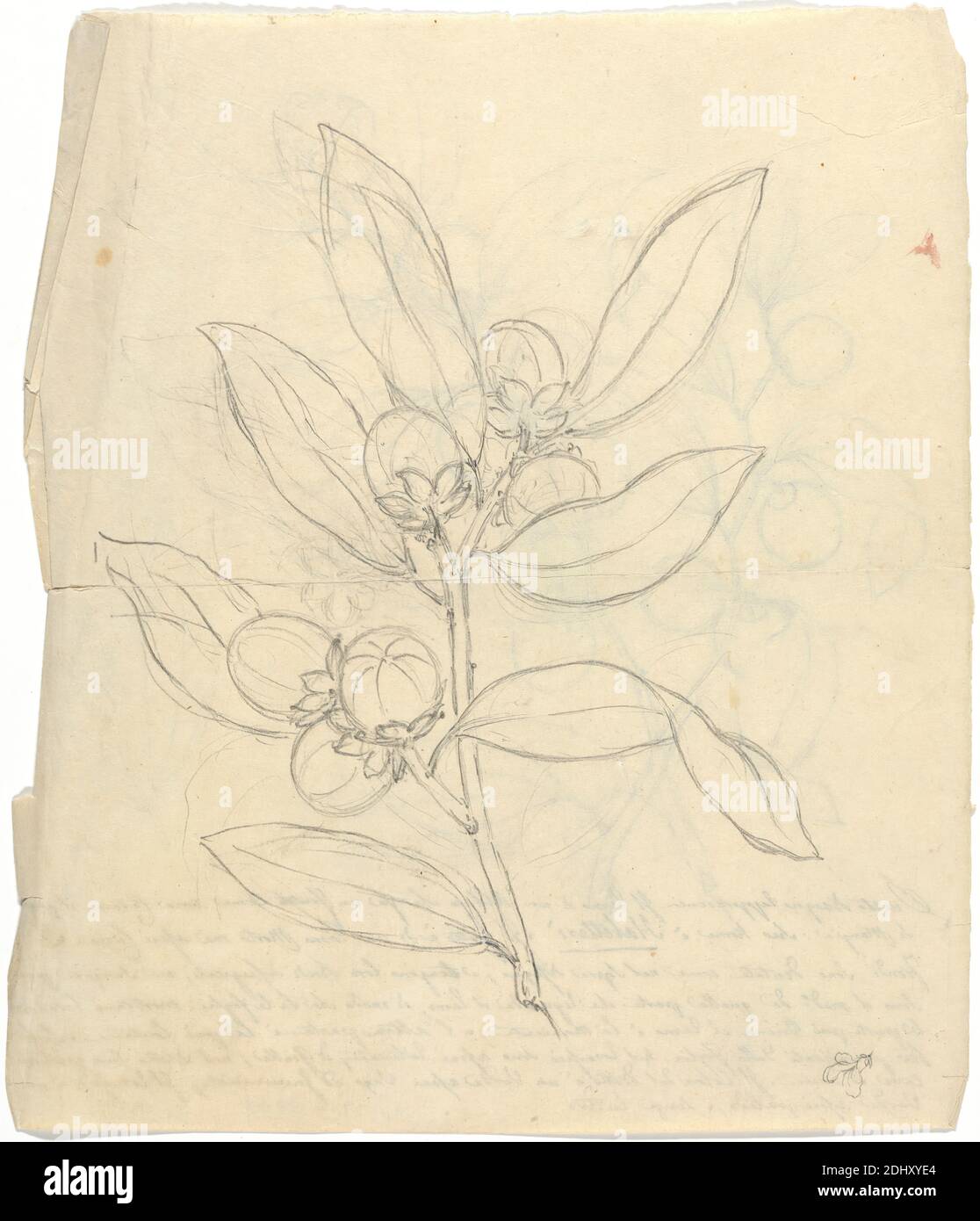 19 4 3 1 7 cm Cut Out Stock Images & Pictures - Alamy