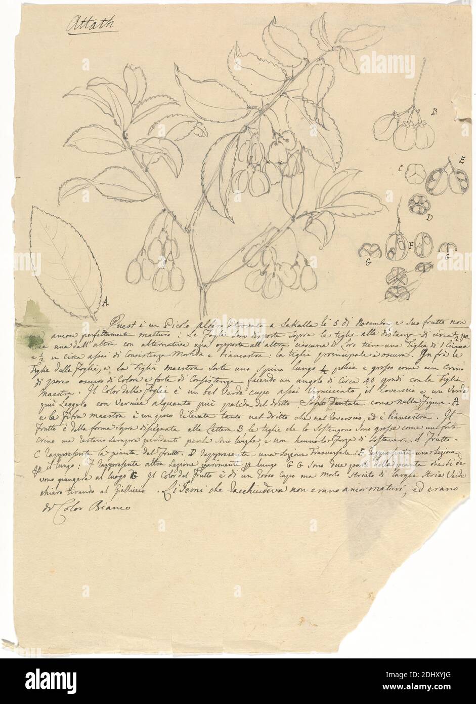 12 3 9 4 cm Cut Out Stock Images & Pictures - Alamy