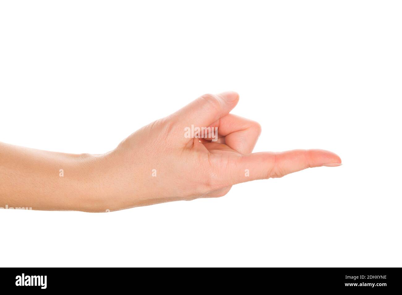 Female hand isolated on white background presenting. Mockup Stock Photo ...
