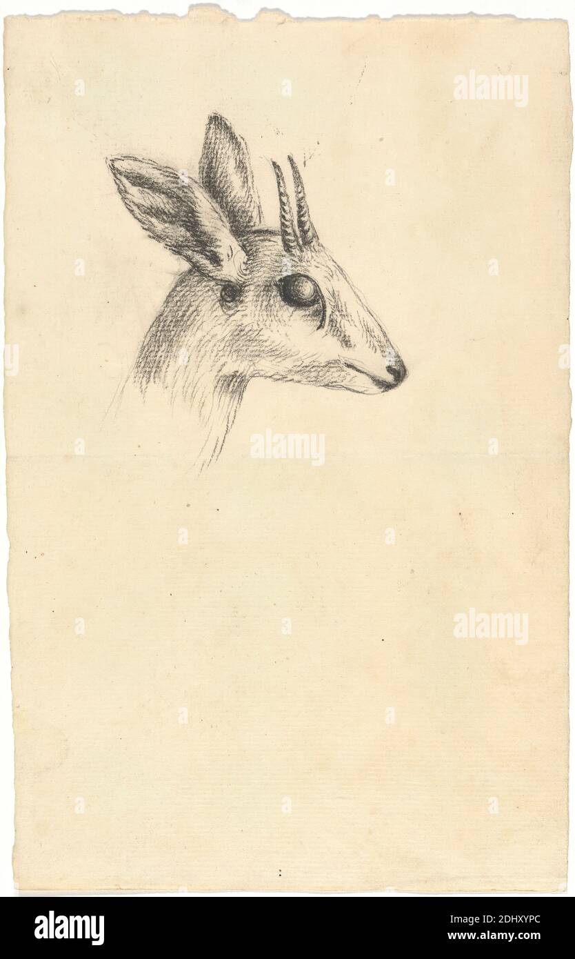 13 6 x 8 8 cm Cut Out Stock Images & Pictures - Alamy