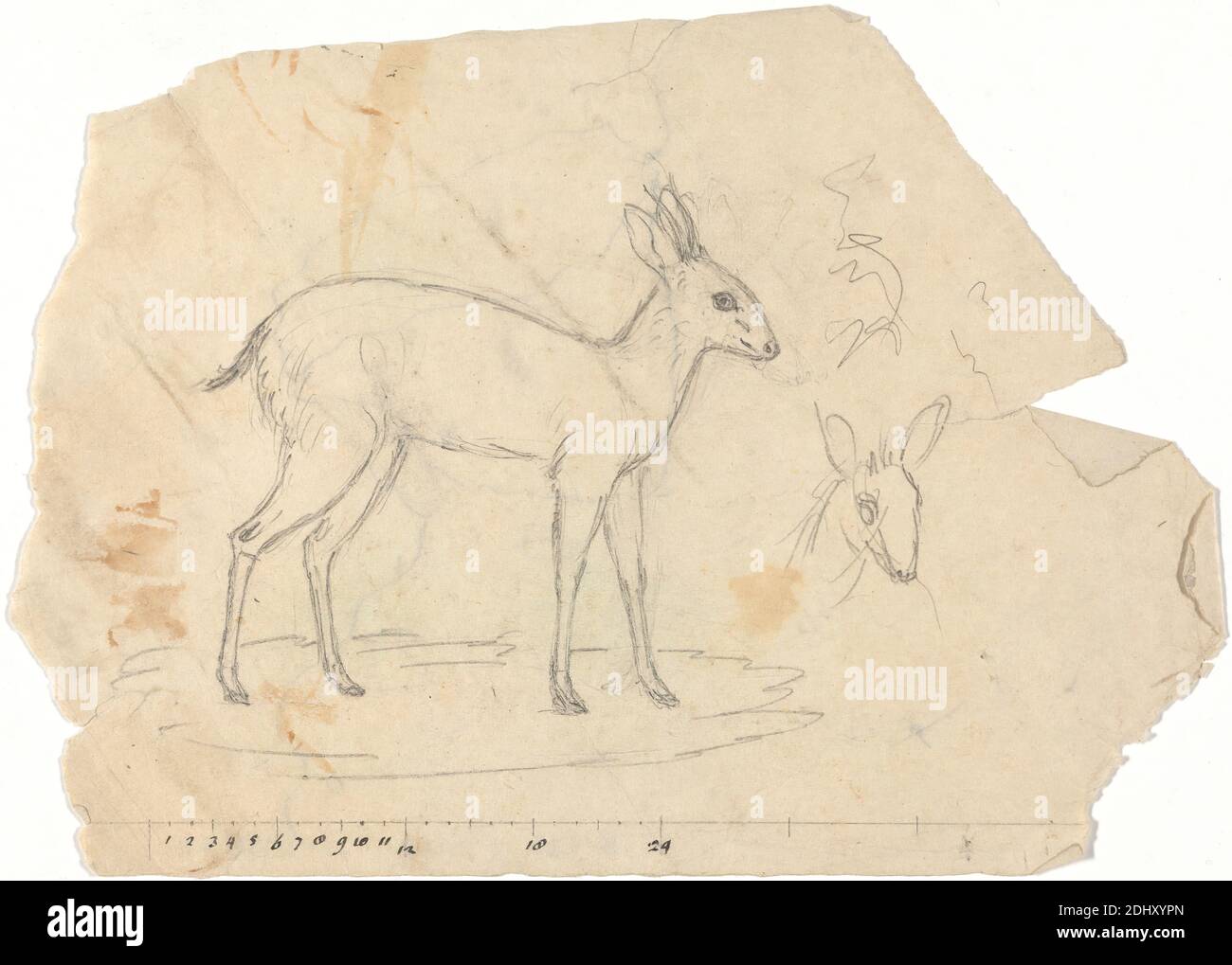 13 5 x 3 7 cm Cut Out Stock Images & Pictures - Alamy