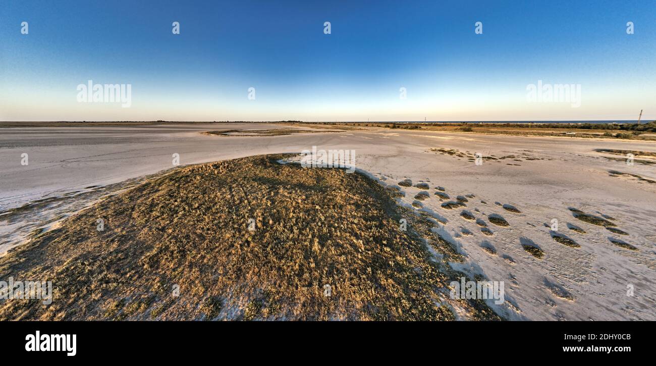 Top view of a sandy swamp with large patches of grass and bushes Stock ...