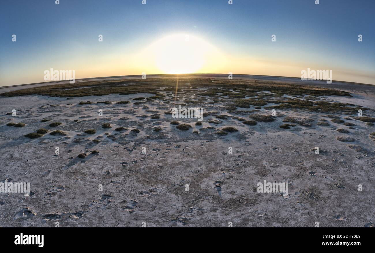 Top view of a sandy swamp with large patches of grass and bushes Stock ...