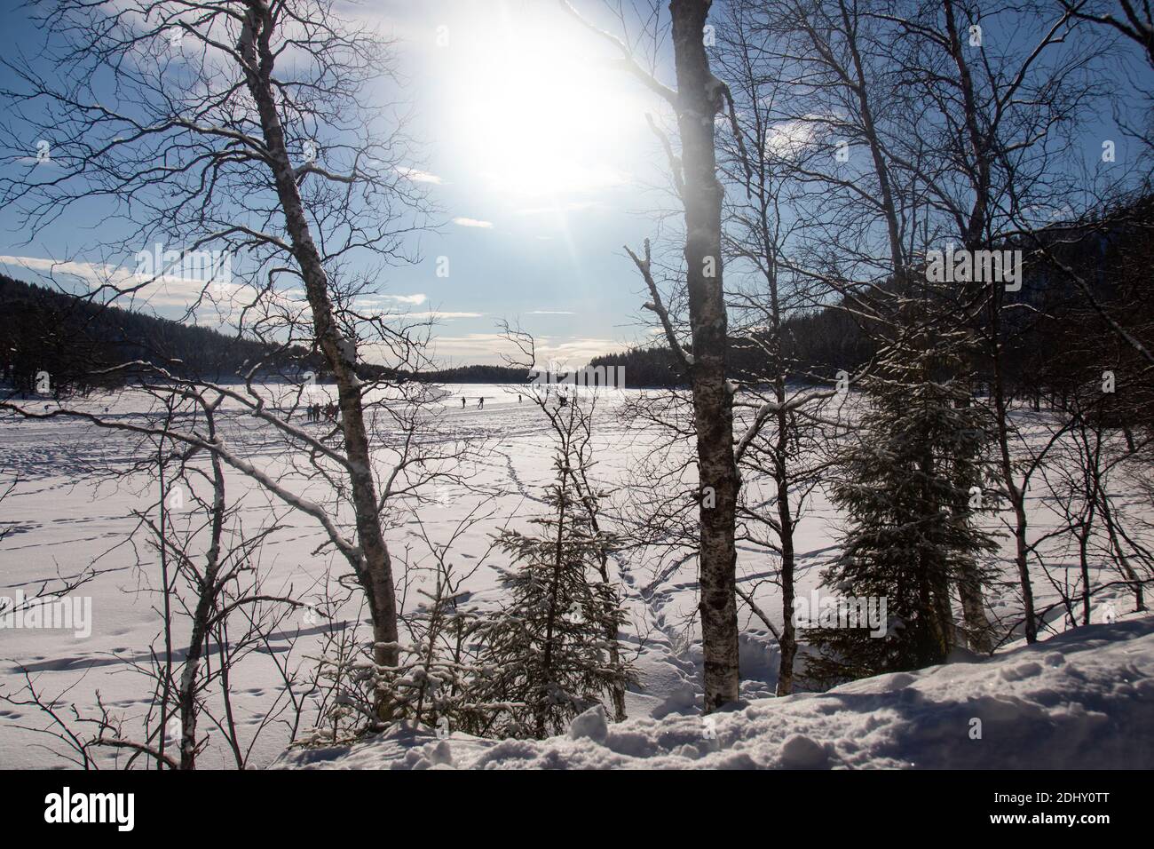Scenic view of the frozen lake of Levi, Finland, with trees covered ...