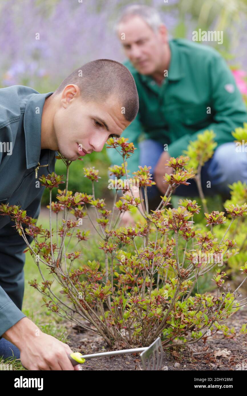 Working two gardeners hi-res stock photography and images - Alamy