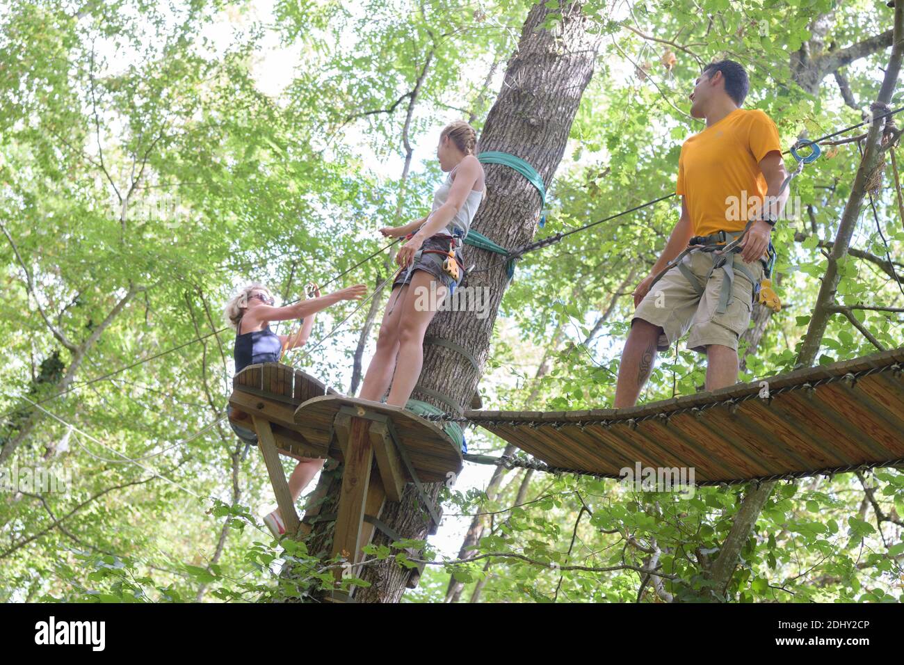 adventure park in forest on tree top Stock Photo - Alamy