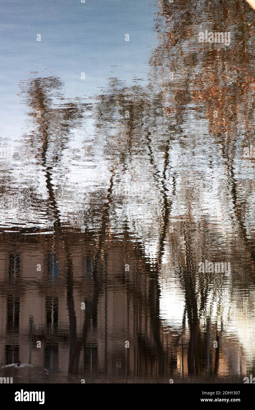 Fuzzy image hi-res stock photography and images - Alamy