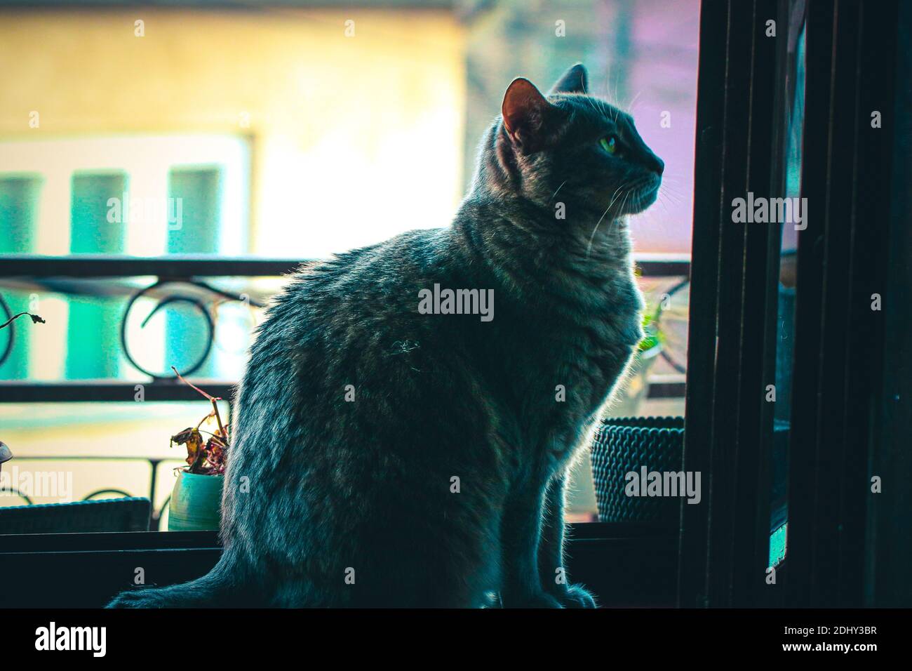 Domestic windows hi-res stock photography and images - Alamy