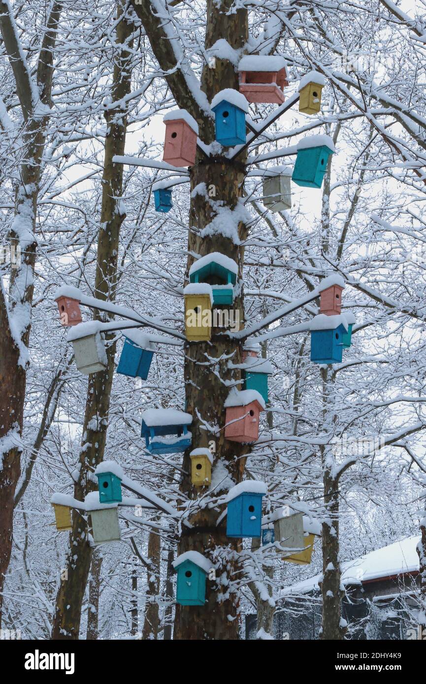 Many bright, multicoloredpainted in red, yellow, blue and other colors ...