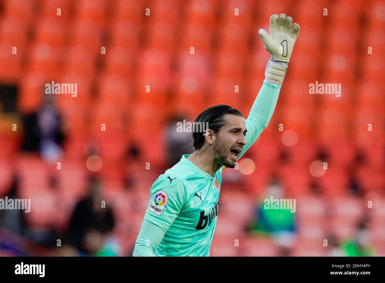 VALENCIA, SPAIN - DECEMBER 12: goalkeeper Jaume Domenech of Valencia CF ...