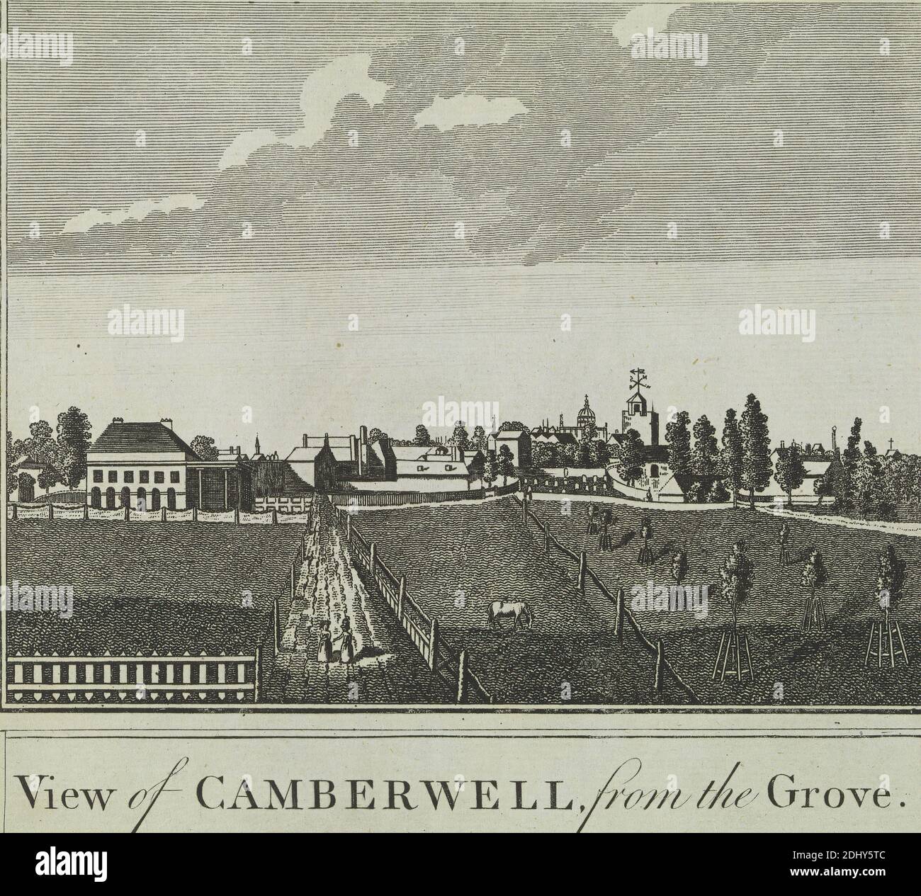 Camberwell grove hi-res stock photography and images - Alamy