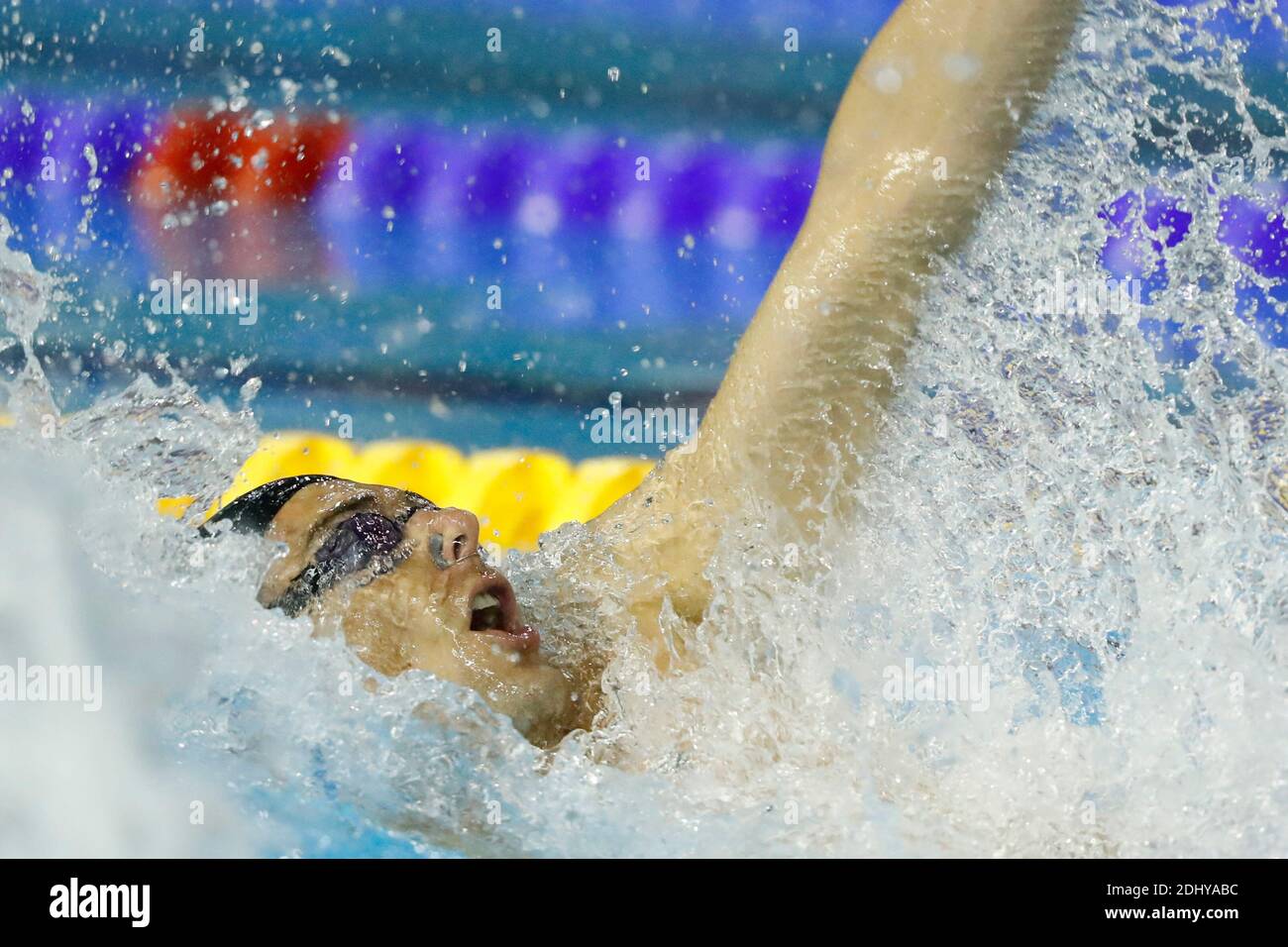 Camille Lacourt winning the 100 meters backstroke men in the French 2016 Swimming championships ...