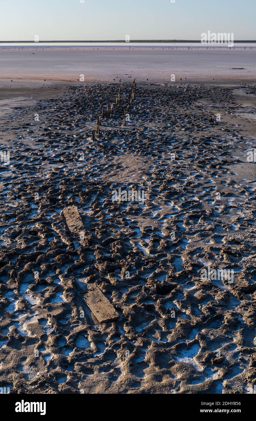 Dirty path through swamp to sunset Genichesk pink extremely salty lake ...