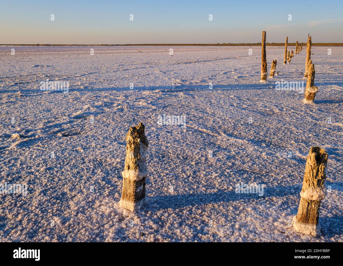 Sunset on the Genichesk pink extremely salty lake (colored by ...