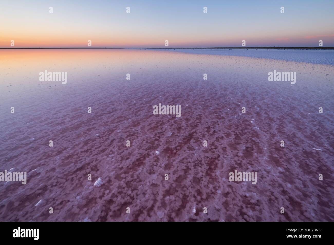 Sunset on the Genichesk pink extremely salty lake (colored by ...