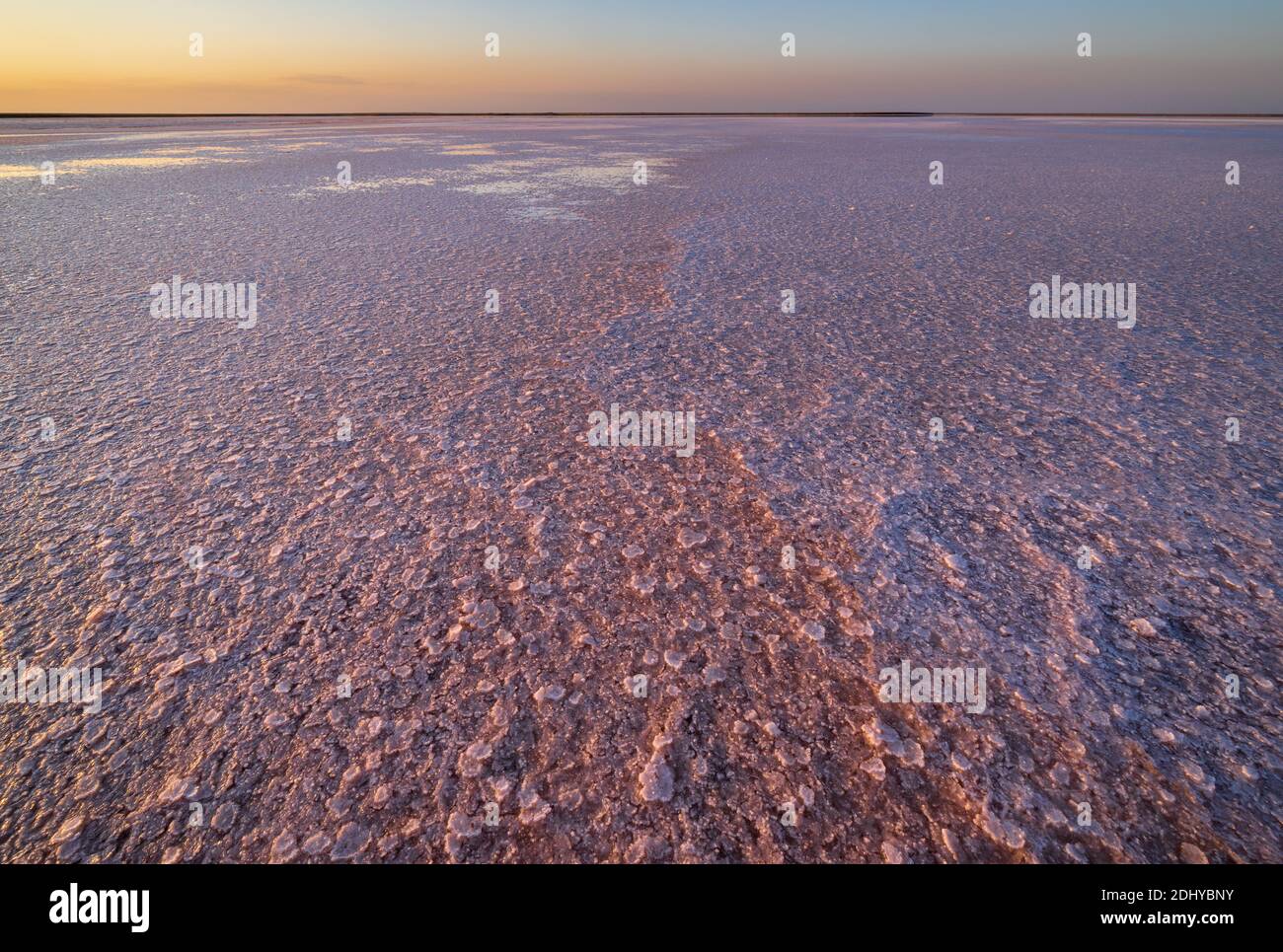 Sunset on the Genichesk pink extremely salty lake (colored by ...