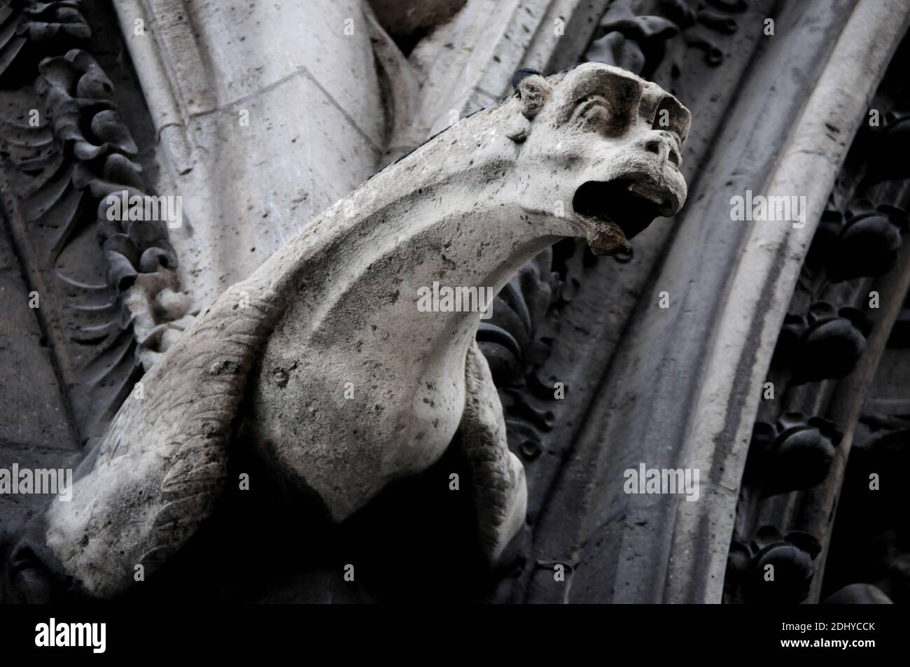 illustration of Gargoyle (Gargouille) at the church and cathedral in ...