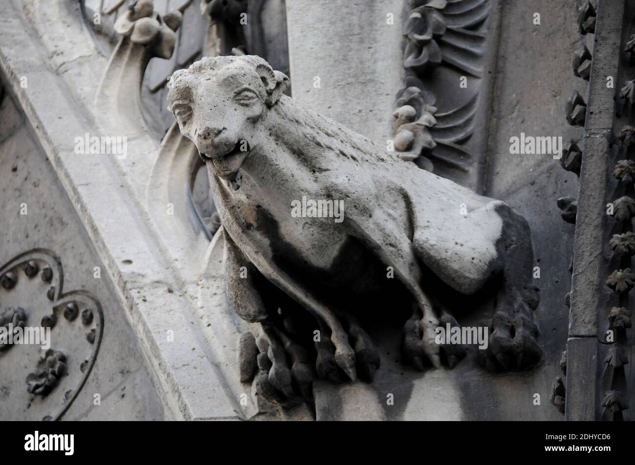 illustration of Gargoyle (Gargouille) at the church and cathedral in ...