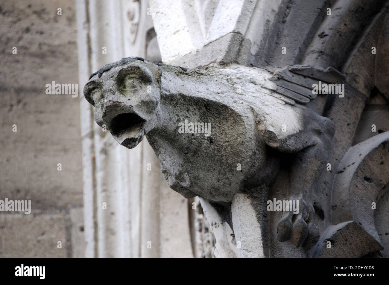 illustration of Gargoyle (Gargouille) at the church and cathedral in ...