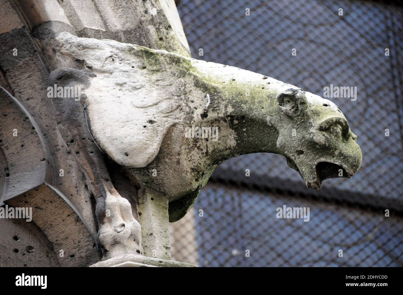 illustration of Gargoyle (Gargouille) at the church and cathedral in ...