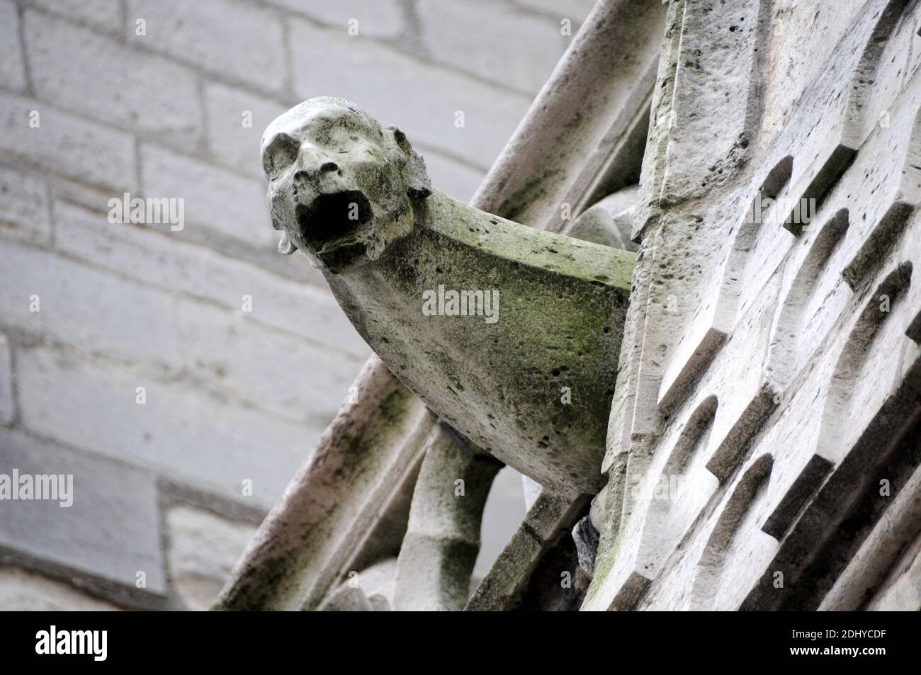 illustration of Gargoyle (Gargouille) at the church and cathedral in ...