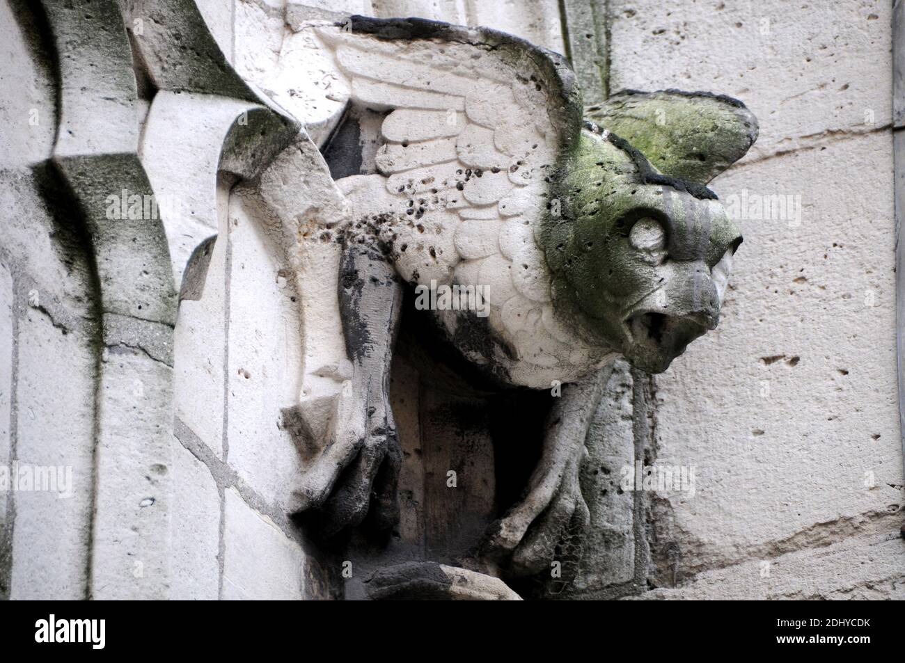 illustration of Gargoyle (Gargouille) at the church and cathedral in ...