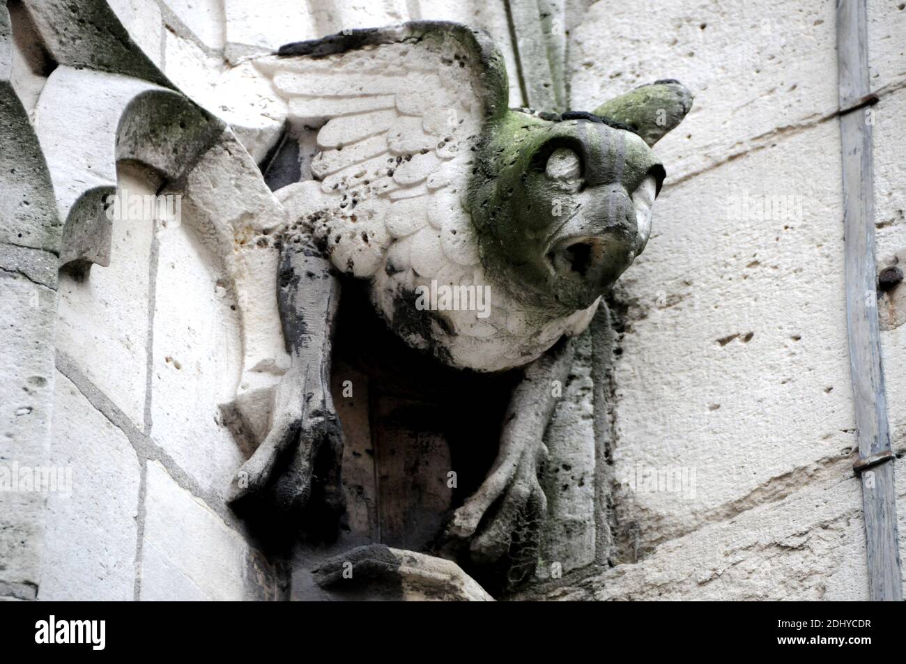 illustration of Gargoyle (Gargouille) at the church and cathedral in ...