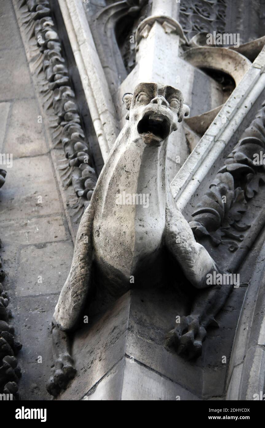 Medieval Cathedrals Gargoyles