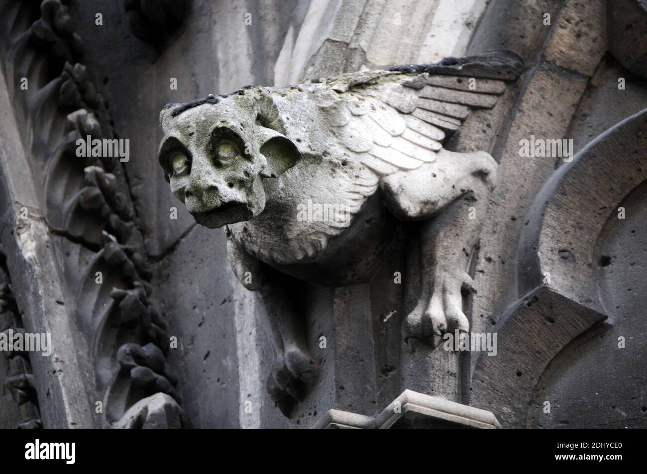 Medieval lions head illustration hi-res stock photography and images ...