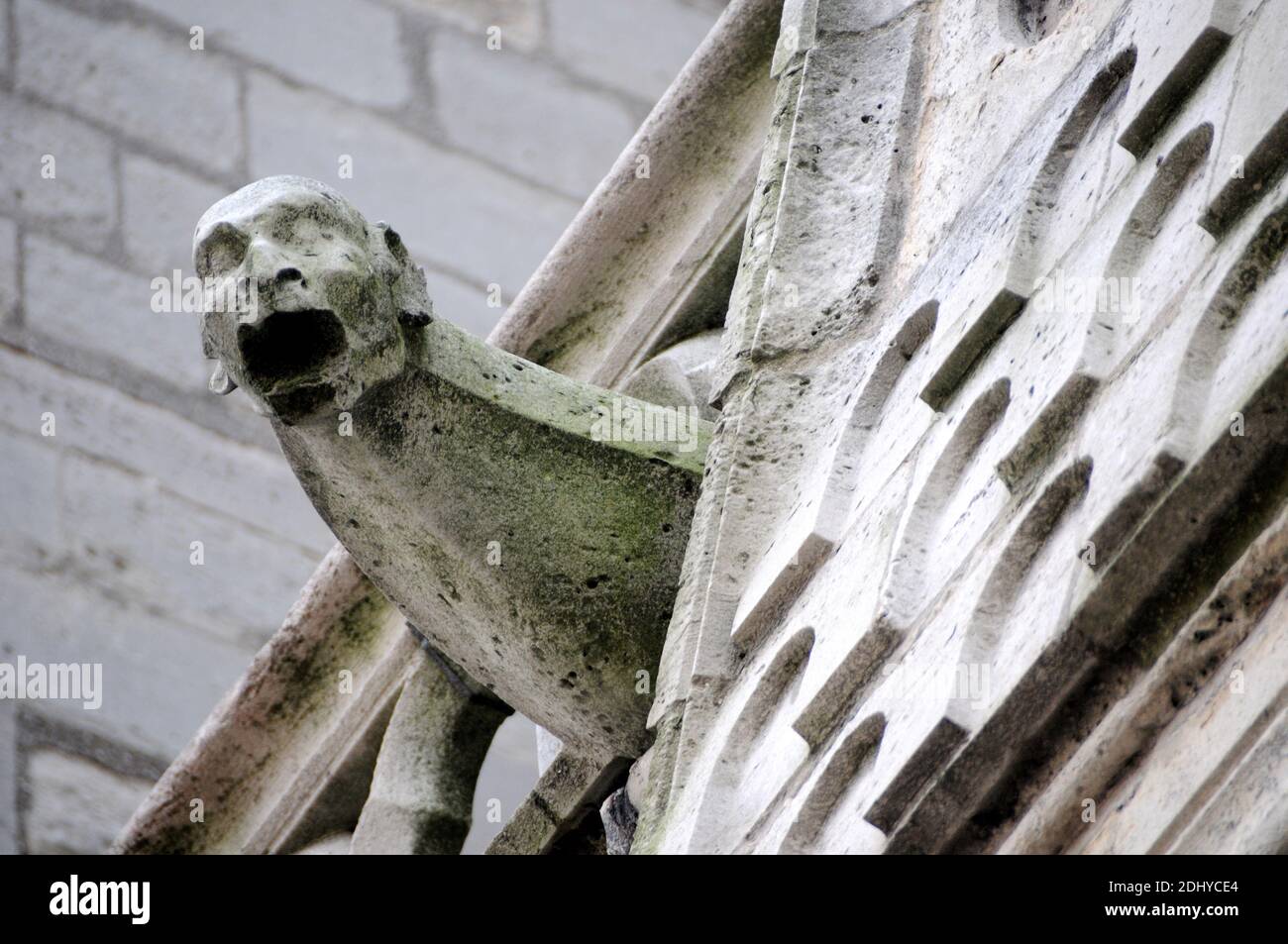 illustration of Gargoyle (Gargouille) at the church and cathedral in ...