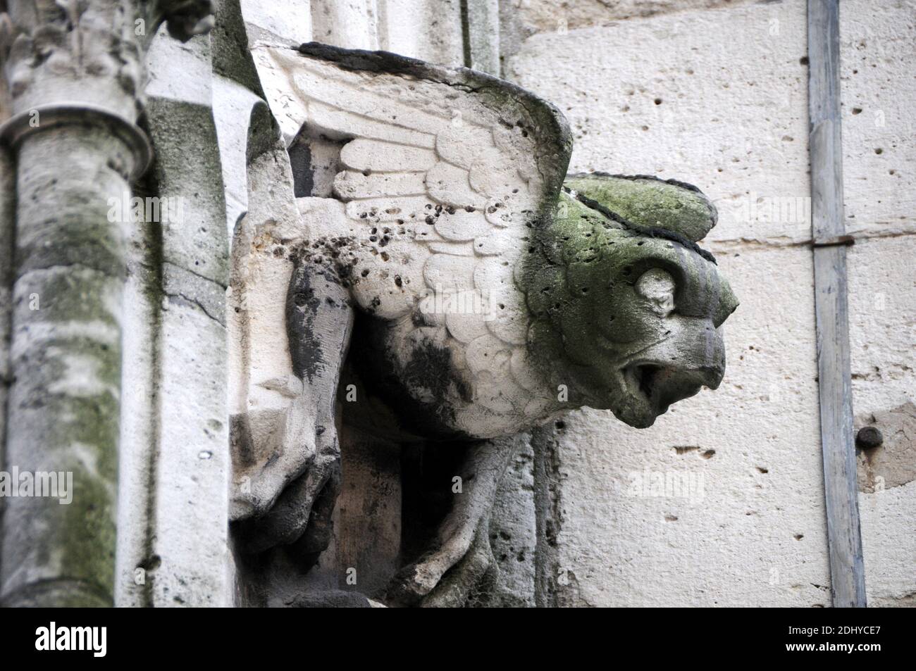 illustration of Gargoyle (Gargouille) at the church and cathedral in ...