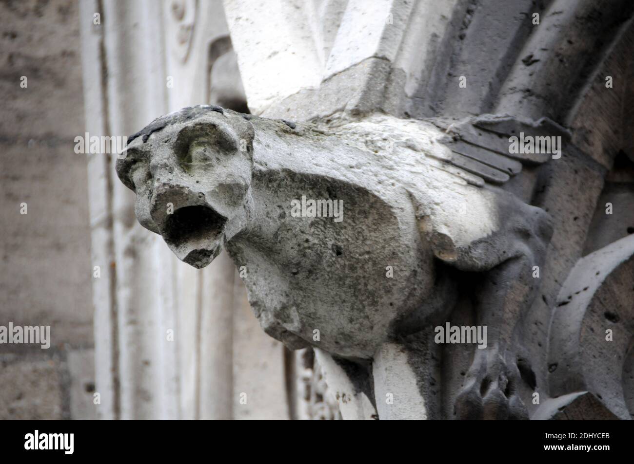 illustration of Gargoyle (Gargouille) at the church and cathedral in ...