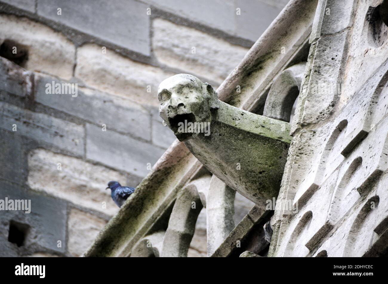 illustration of Gargoyle (Gargouille) at the church and cathedral in ...