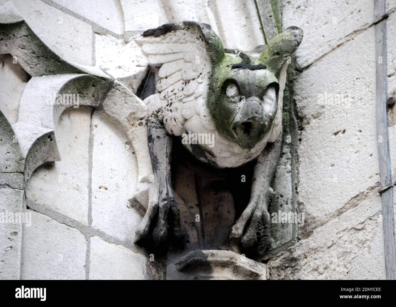 illustration of Gargoyle (Gargouille) at the church and cathedral in ...