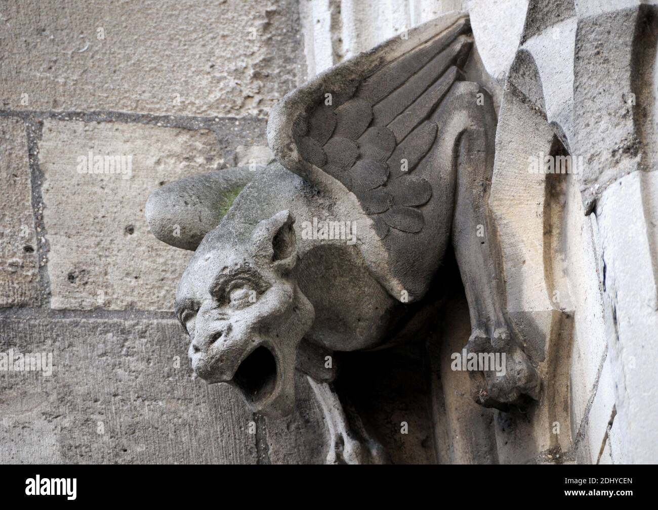 Medieval lions head illustration hi-res stock photography and images ...