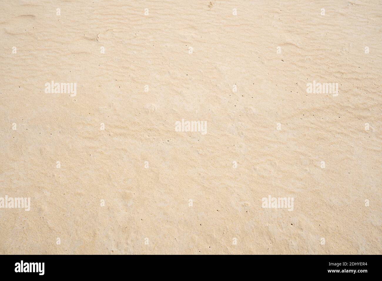 Tropical sand texture pattern, sandy beach texture background top view ...